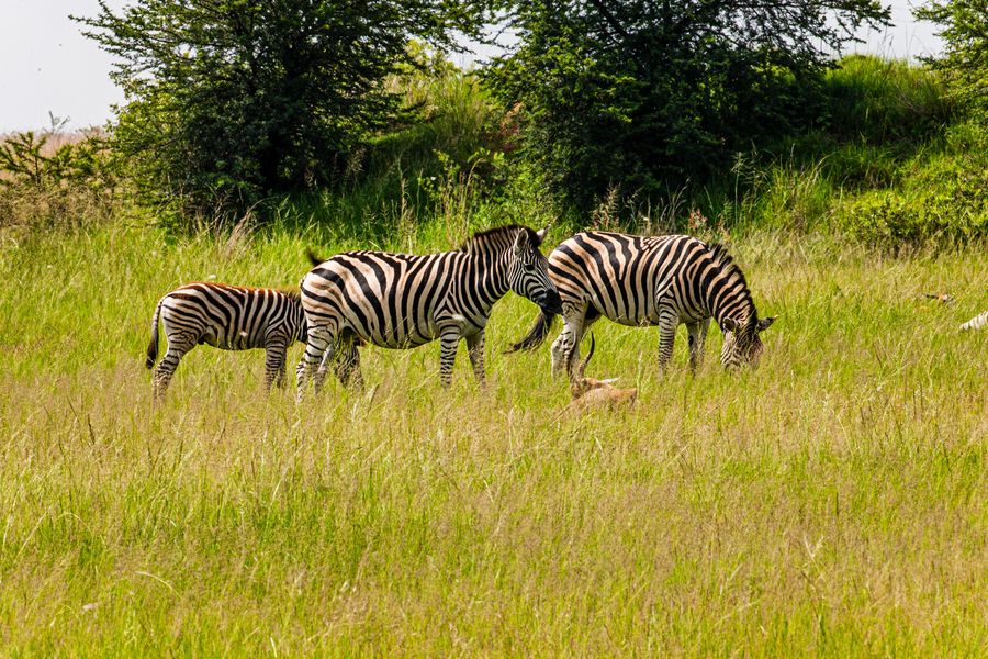 How To Define Sustainable Development