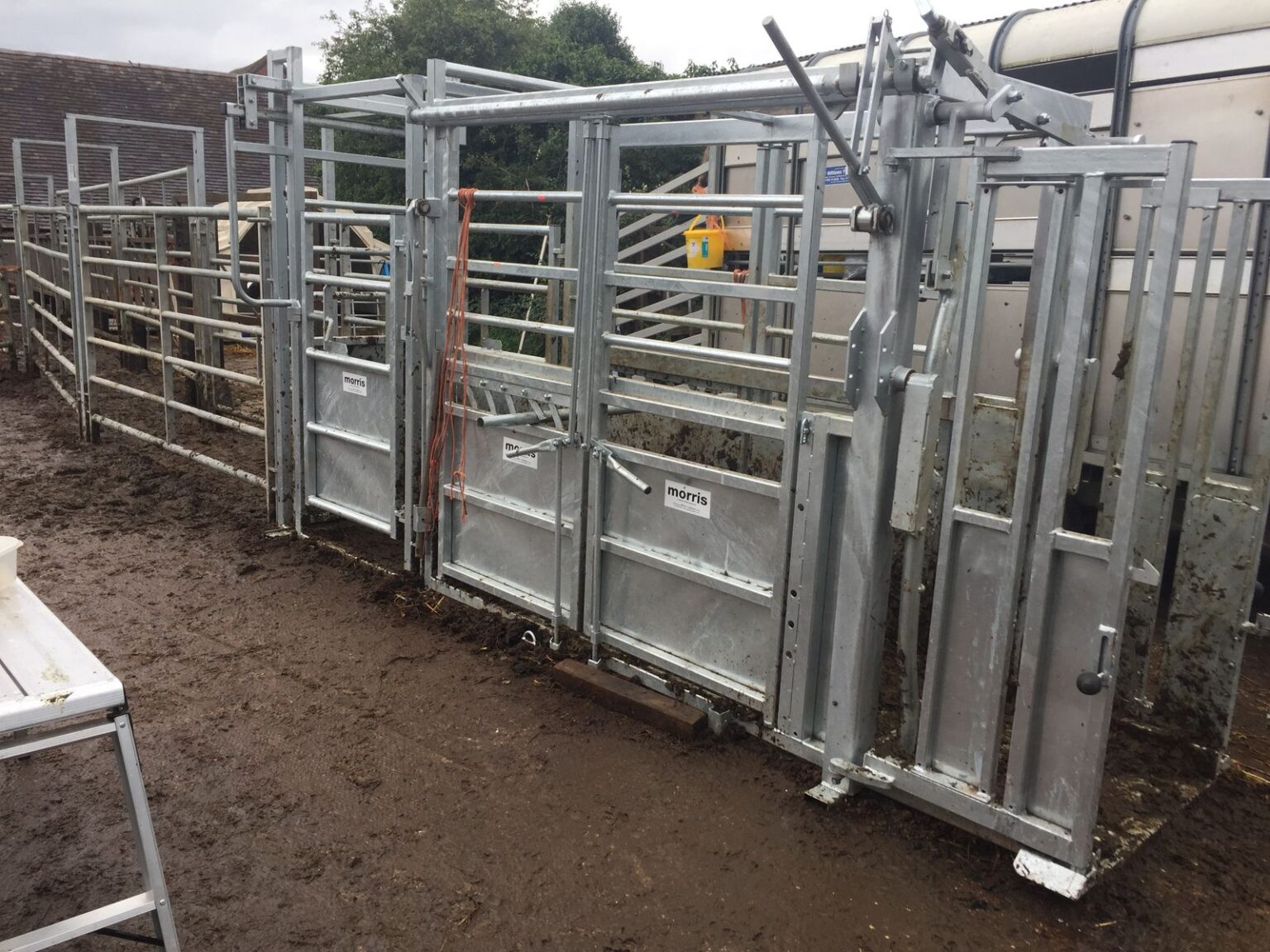 How To Handle Cattle: Safeguarding Animals And People!