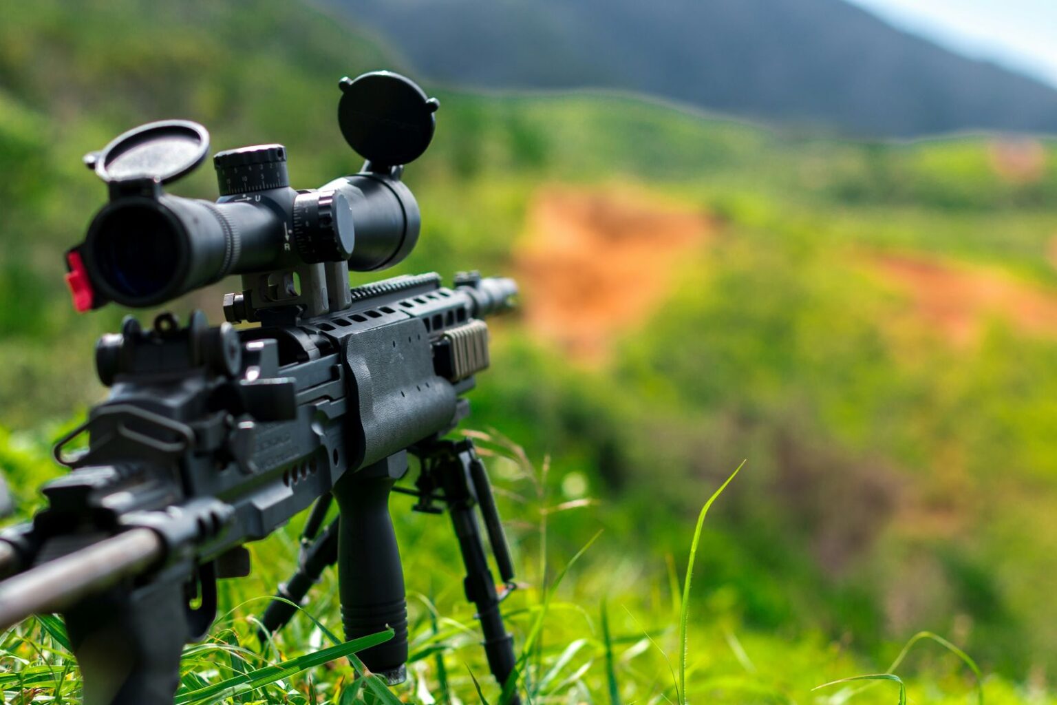 Poaching Vs Hunting: What Are The Differences?